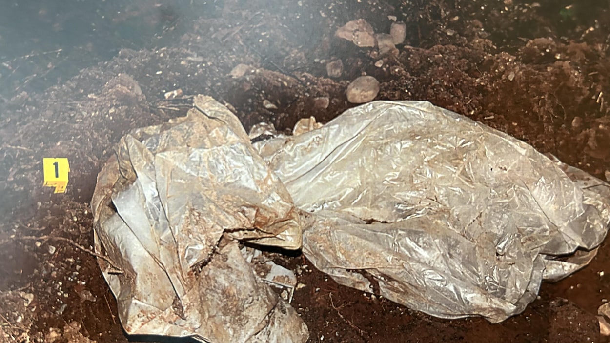 Procès pour meurtre : le corps de Serge Boutin enveloppé d’une toile ...