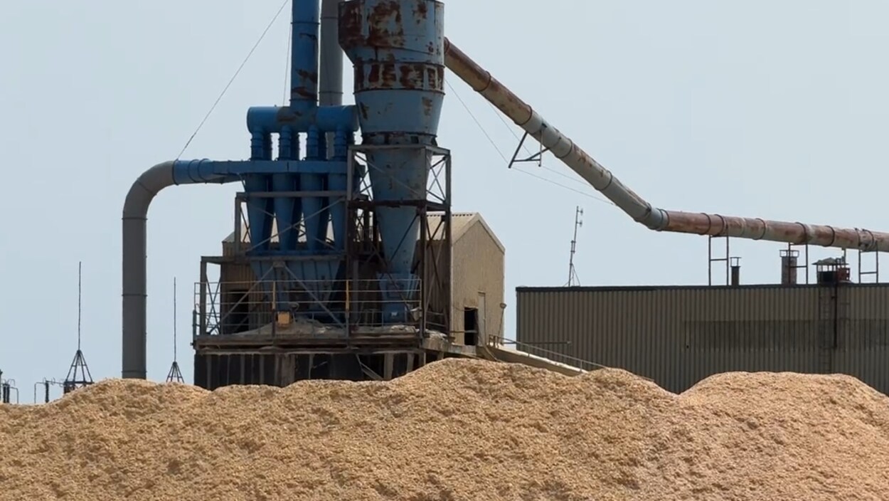 Rémabec espère rouvrir la scierie de Port-Cartier en septembre | Radio ...