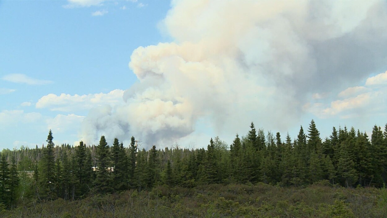 Des feux de forêt sou haute surveillance | Info | Radio-Canada