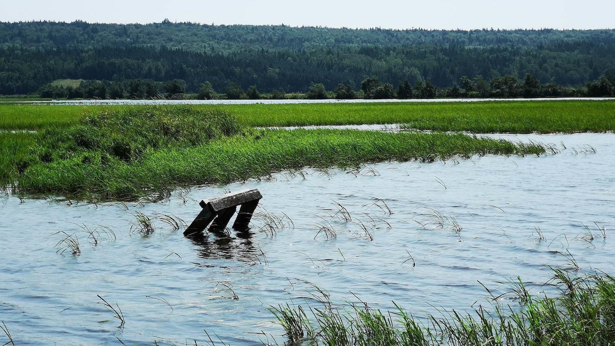 Des étudiants de l’UNB trouvent une solution pour protéger les digues ...