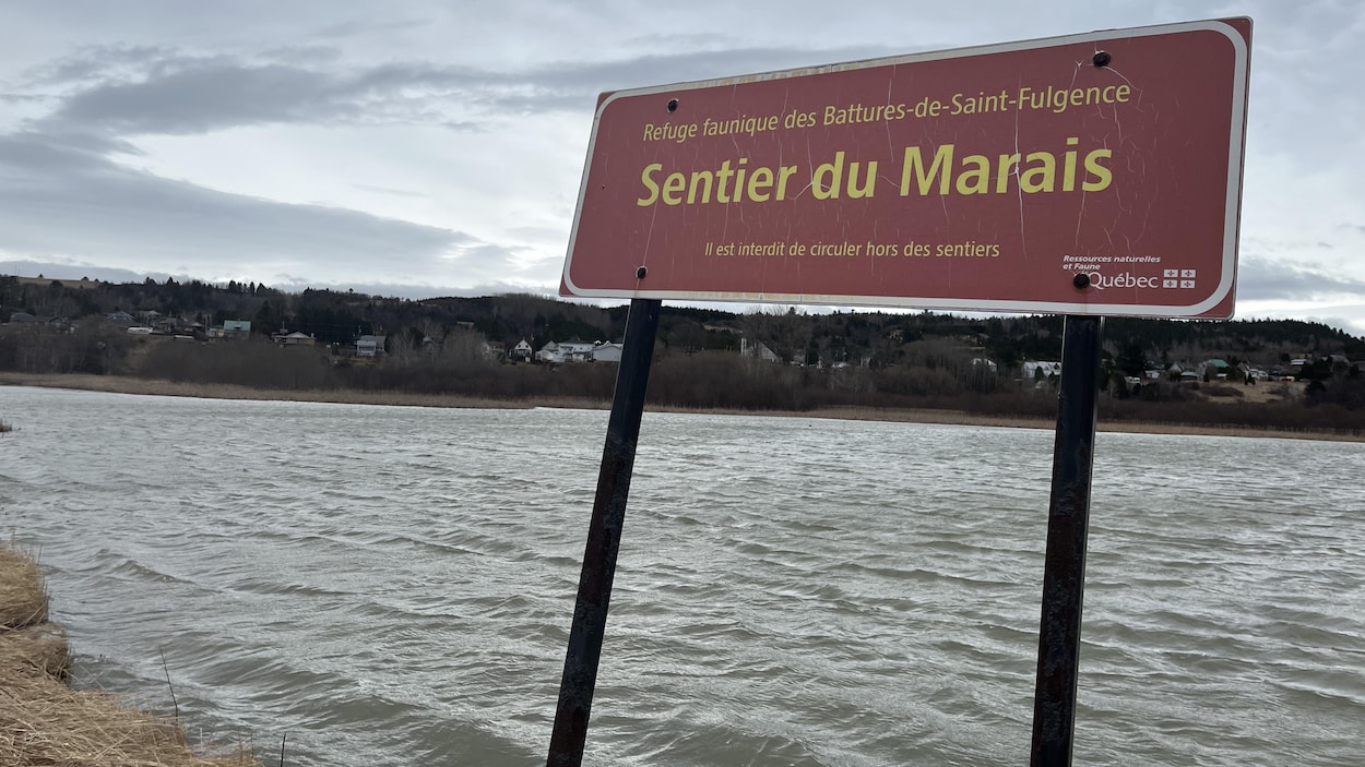 Le marais de Saint-Fulgence restauré | Radio-Canada