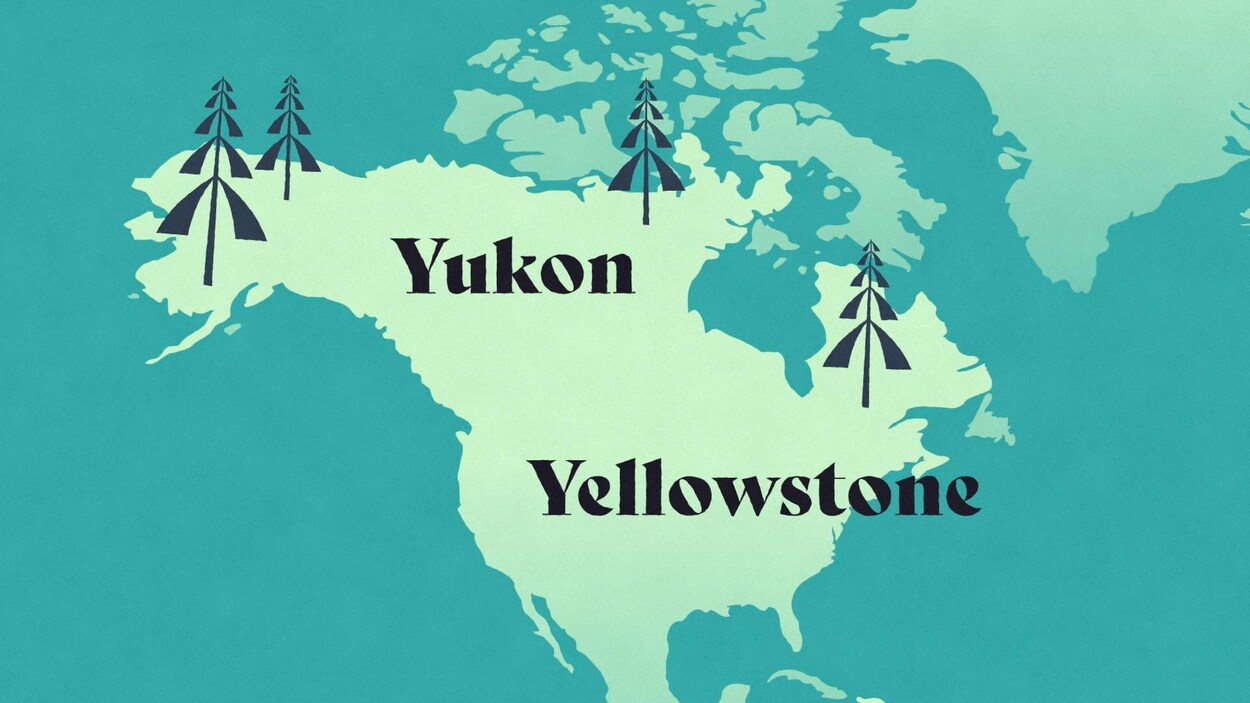 Yukon à Yellowstone | Info | Radio-Canada