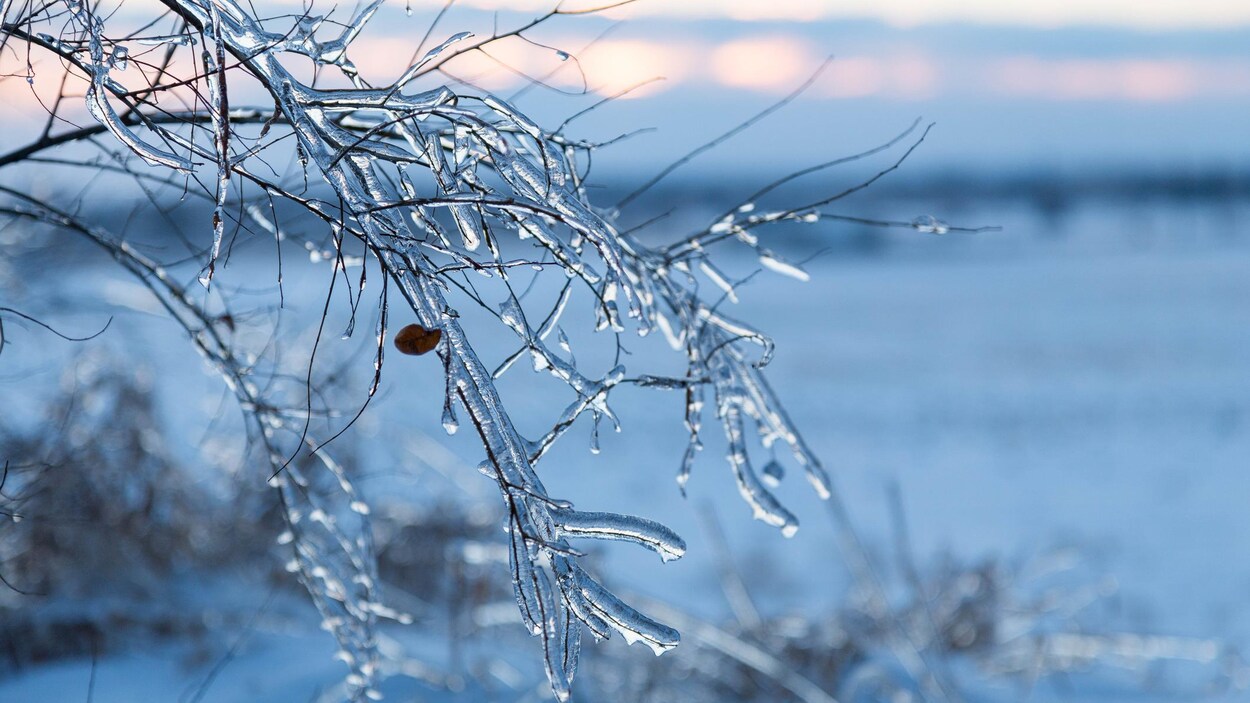 De grandes quantités de pluie verglaçante tomberont sur l’Est-du-Québec ...