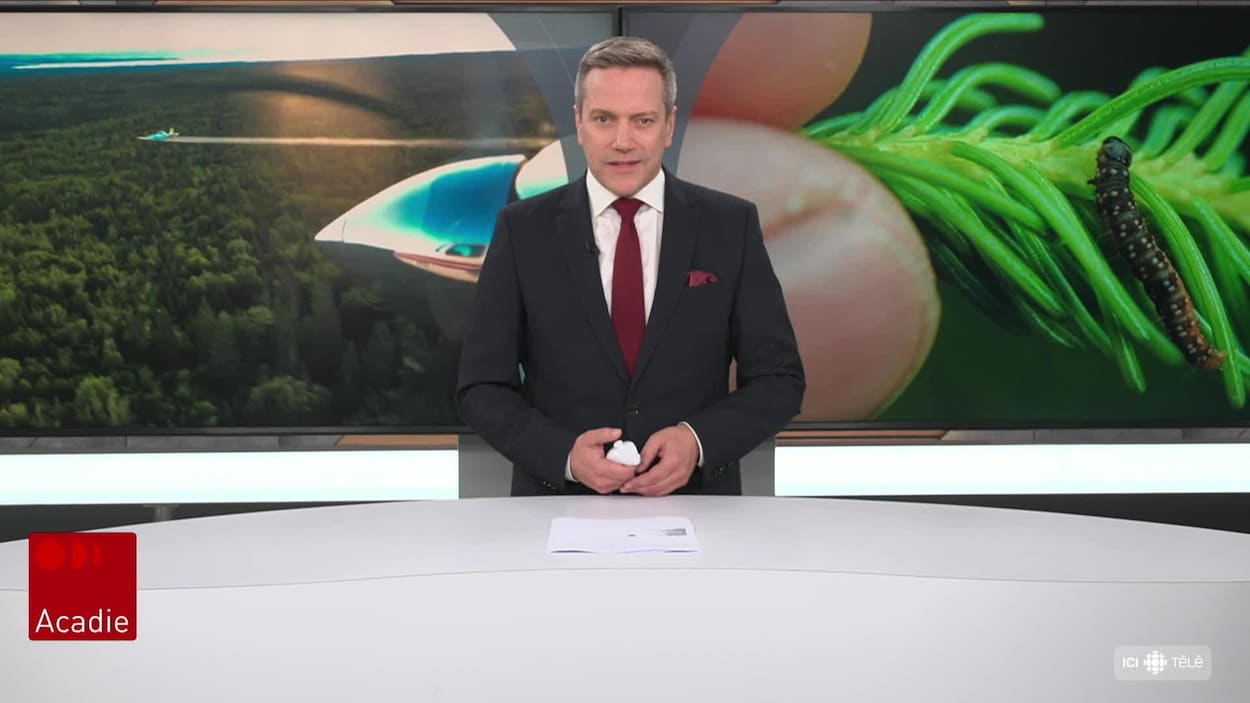 Le téléjournal Acadie du 7 juin | Radio-Canada