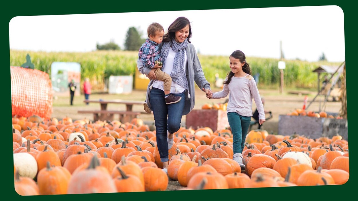 3 choses chouettes à faire cet automne