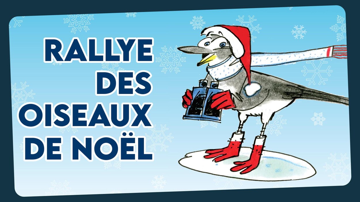 À la découverte des oiseaux en famille