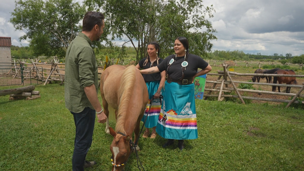La ferme Mādahòkì à la rescousse des chevaux ojibwés | Tout inclus