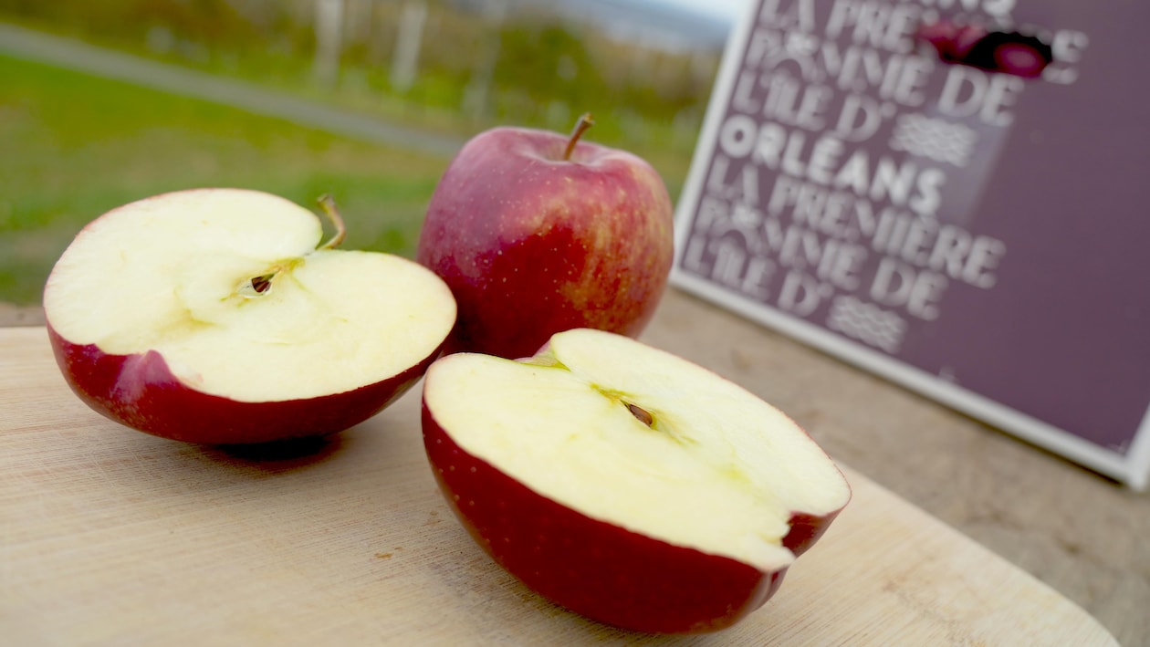 Une nouvelle variété de pommes créée à l'île d'Orléans | Le téléjournal ...