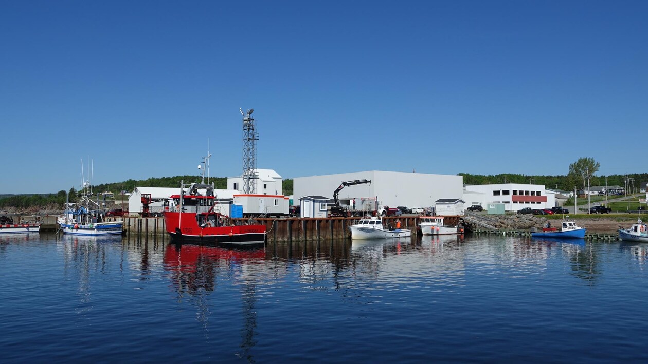 Ces petits ports de pêche portés à bout de bras par des bénévoles | Le ...