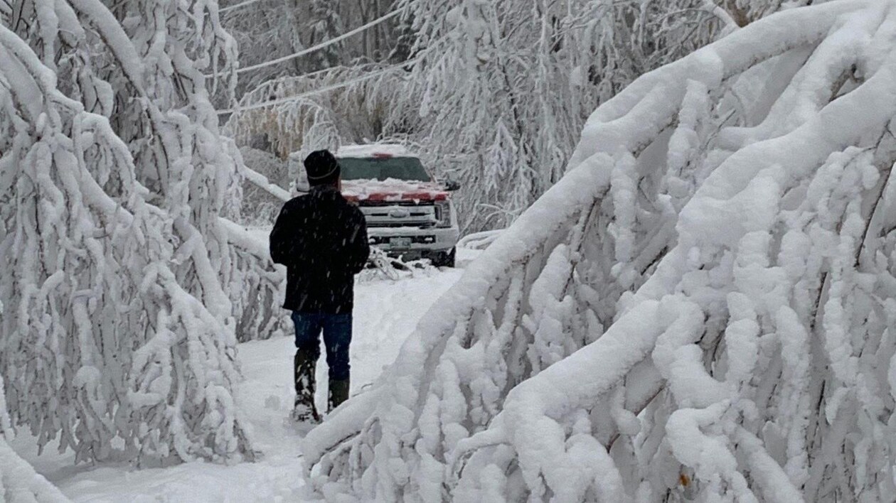 Des milliers de résidents du nord du Manitoba privés d’électricité ...