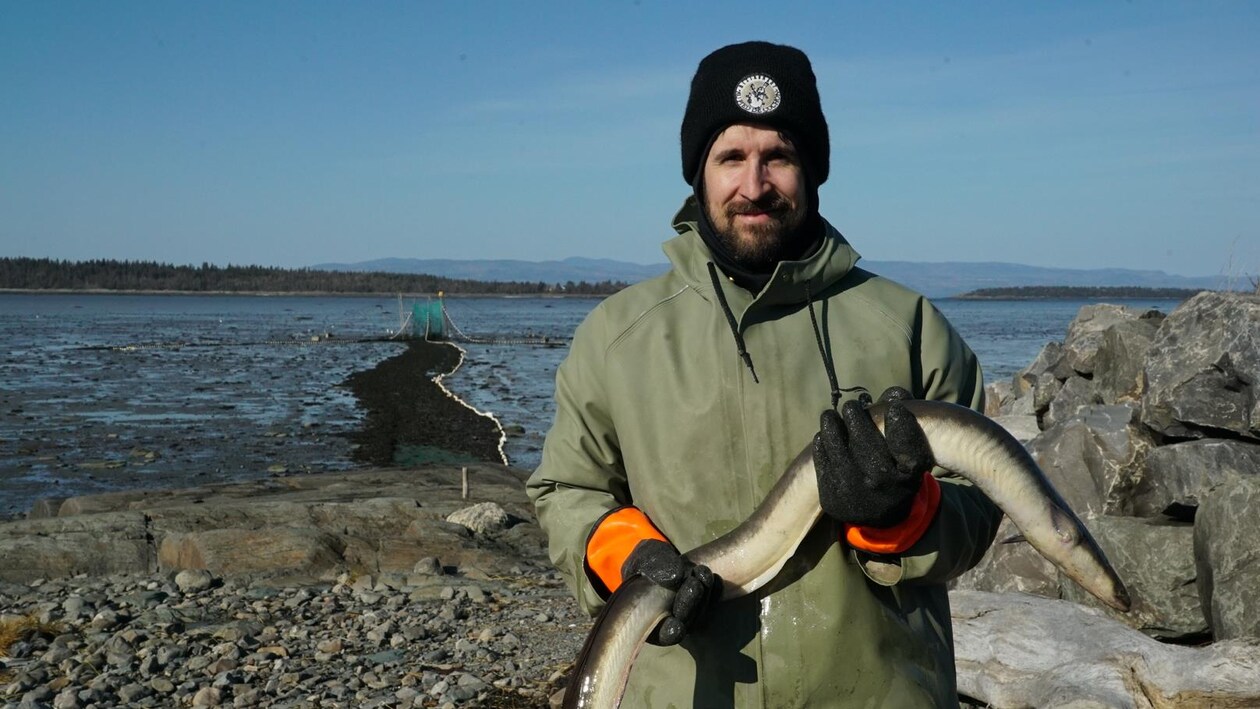 Faire mieux connaître les trésors du fleuve | Le téléjournal Est-du-Québec