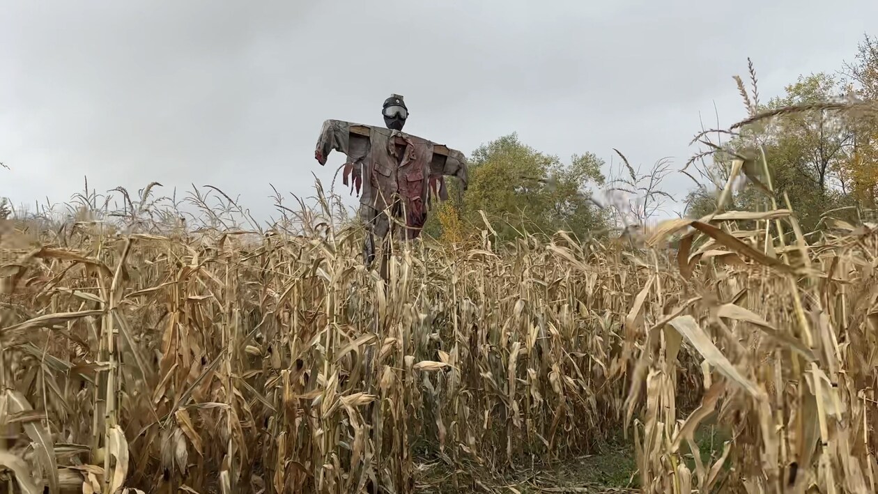 Un labyrinthe hanté pour ceux qui ne craignent pas d’avoir peur | Le ...