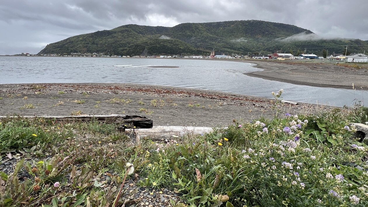 Une recharge de plage fait réagir à Saint-Maxime-du-Mont-Louis | Le ...