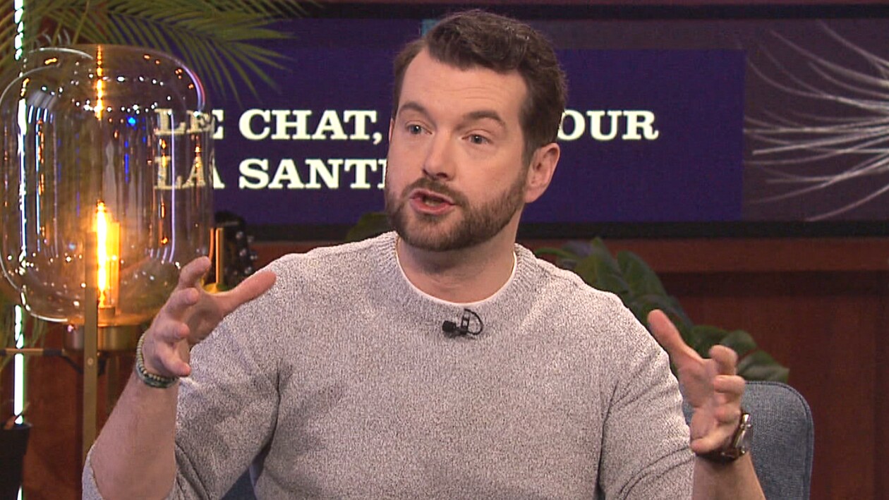 Les chats sont bons pour la santé | On va se le dire