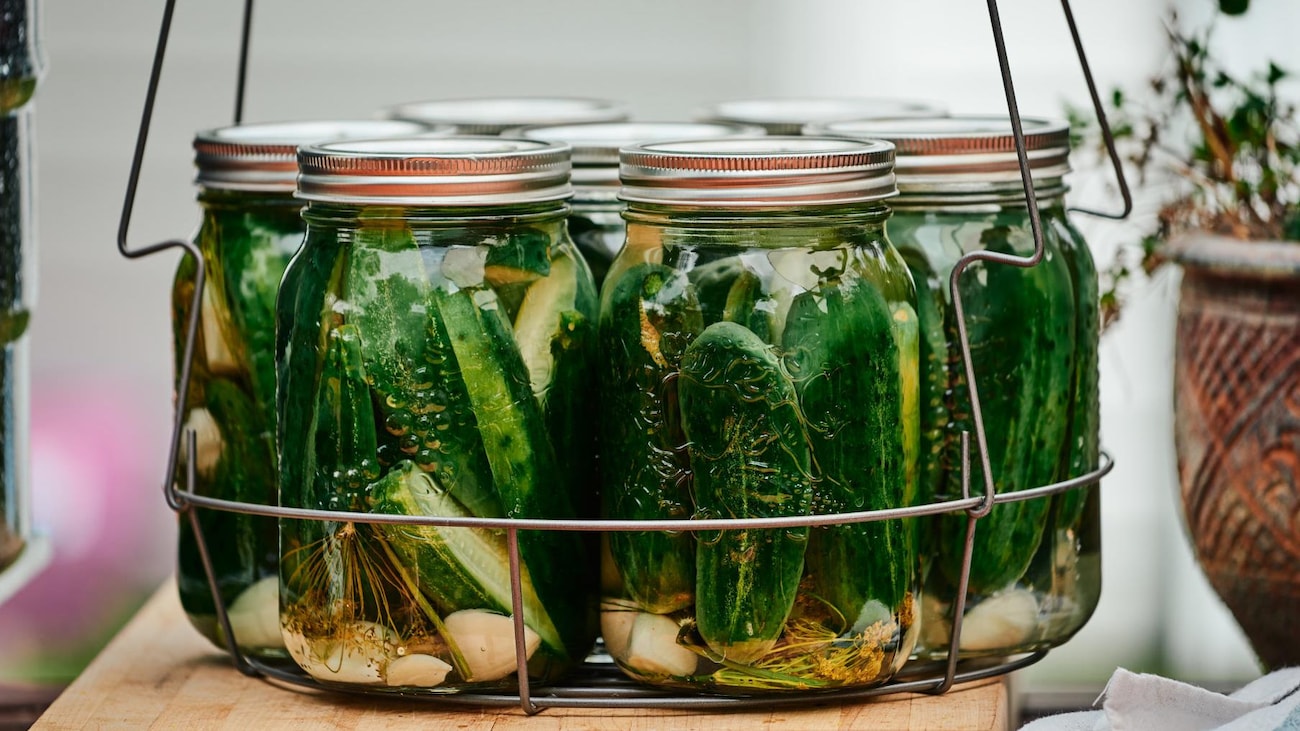 S’initier à la mise en conserve | Mordu