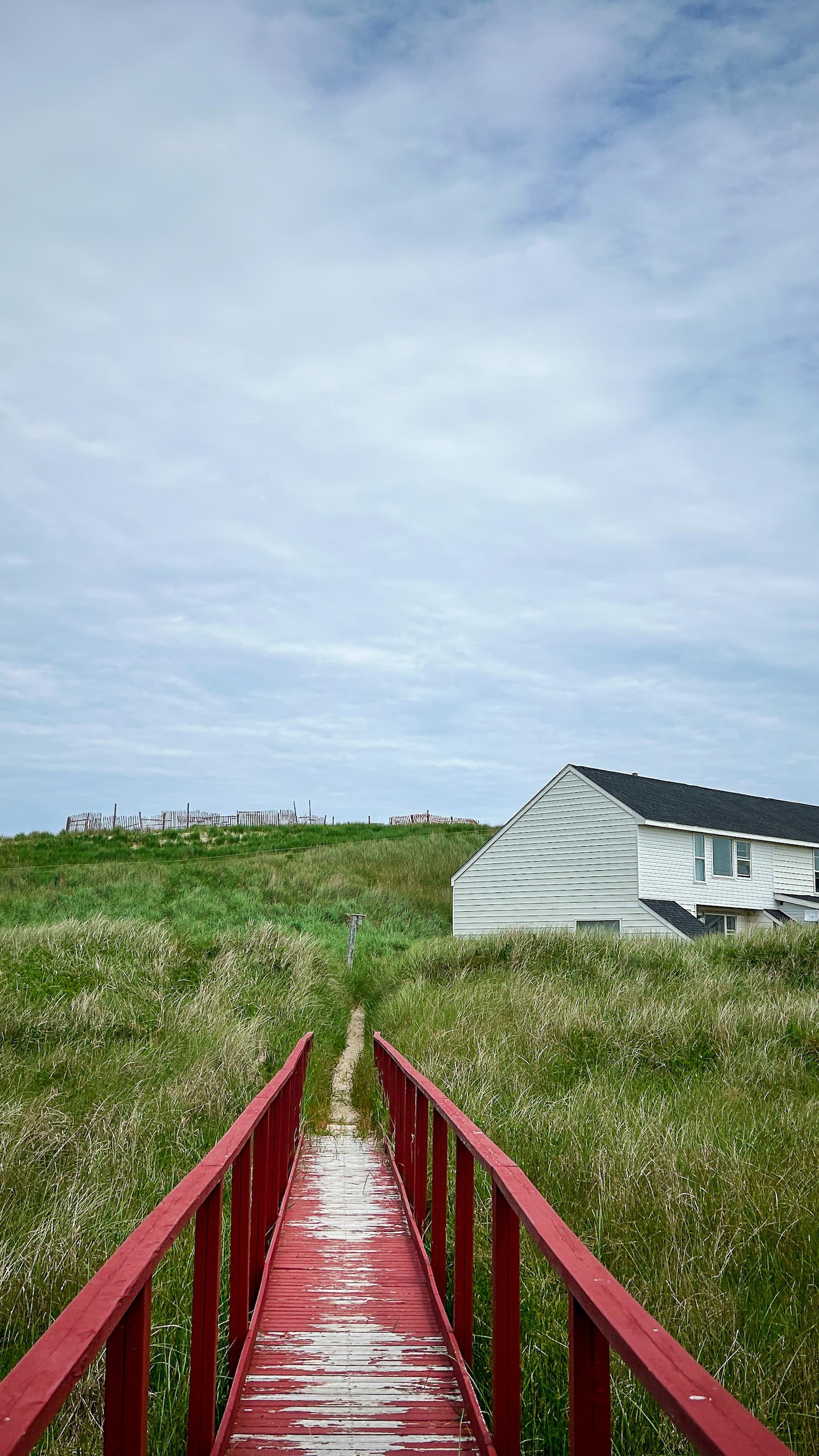 Visiter l’île de Sable et ne jamais vraiment en revenir | Radio-Canada.ca
