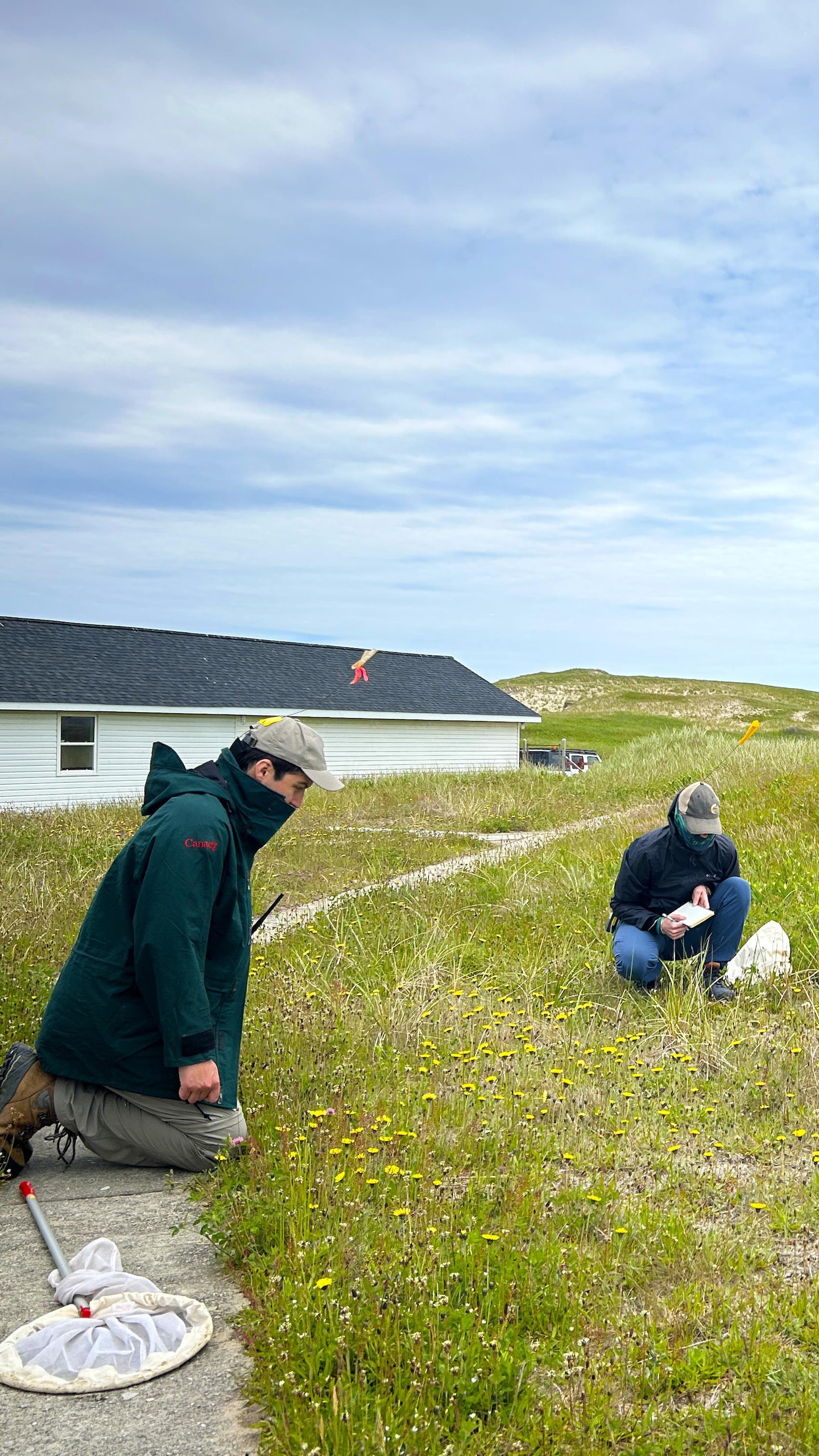 Visiter l’île de Sable et ne jamais vraiment en revenir | Radio-Canada.ca