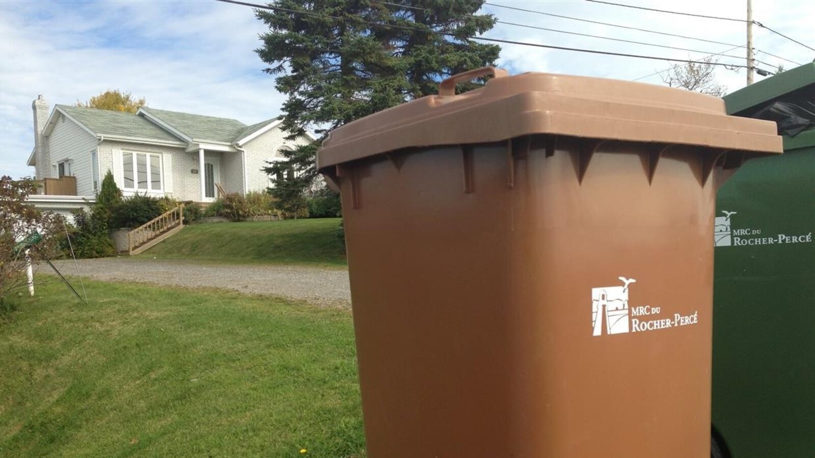 Bacs bruns : des conseillers municipaux demandent l'abrogation du ...