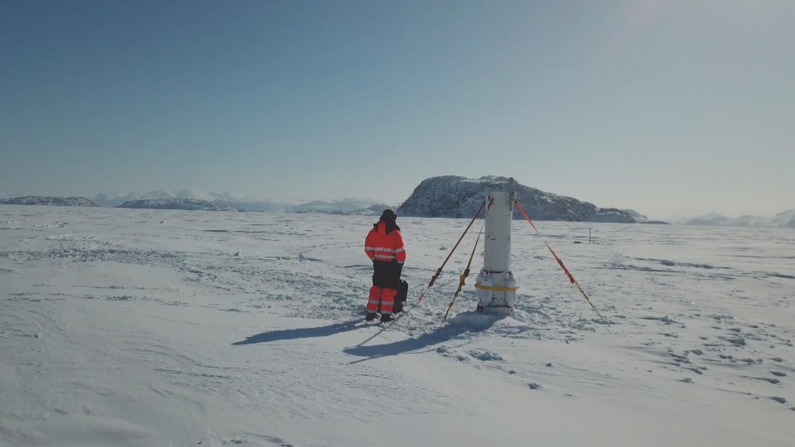 Le réchauffement climatique nuit-il à la morue arctique? | ICI Radio ...
