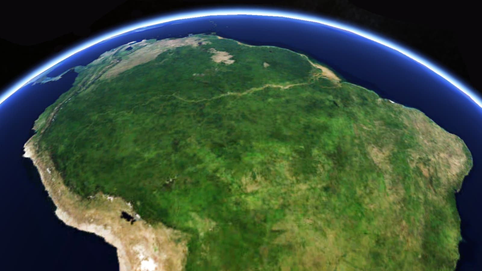 Pas si vierge, la forêt amazonienne | ICI Radio-Canada.ca