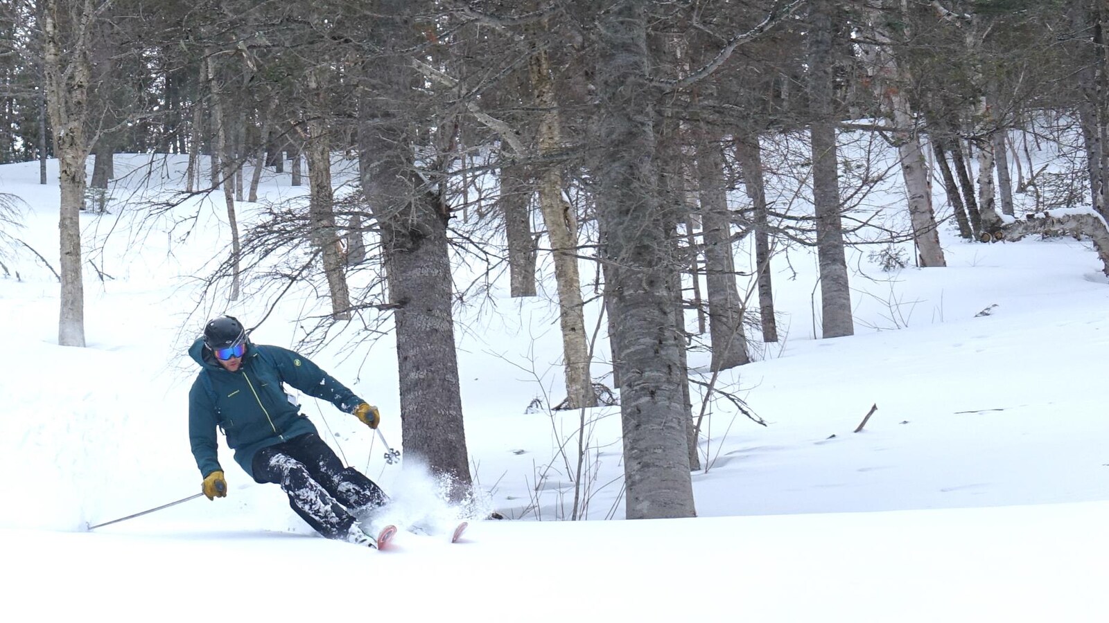 Hors-piste en Haute-Gaspésie : le succès inattendu de Cap Castor | ICI ...