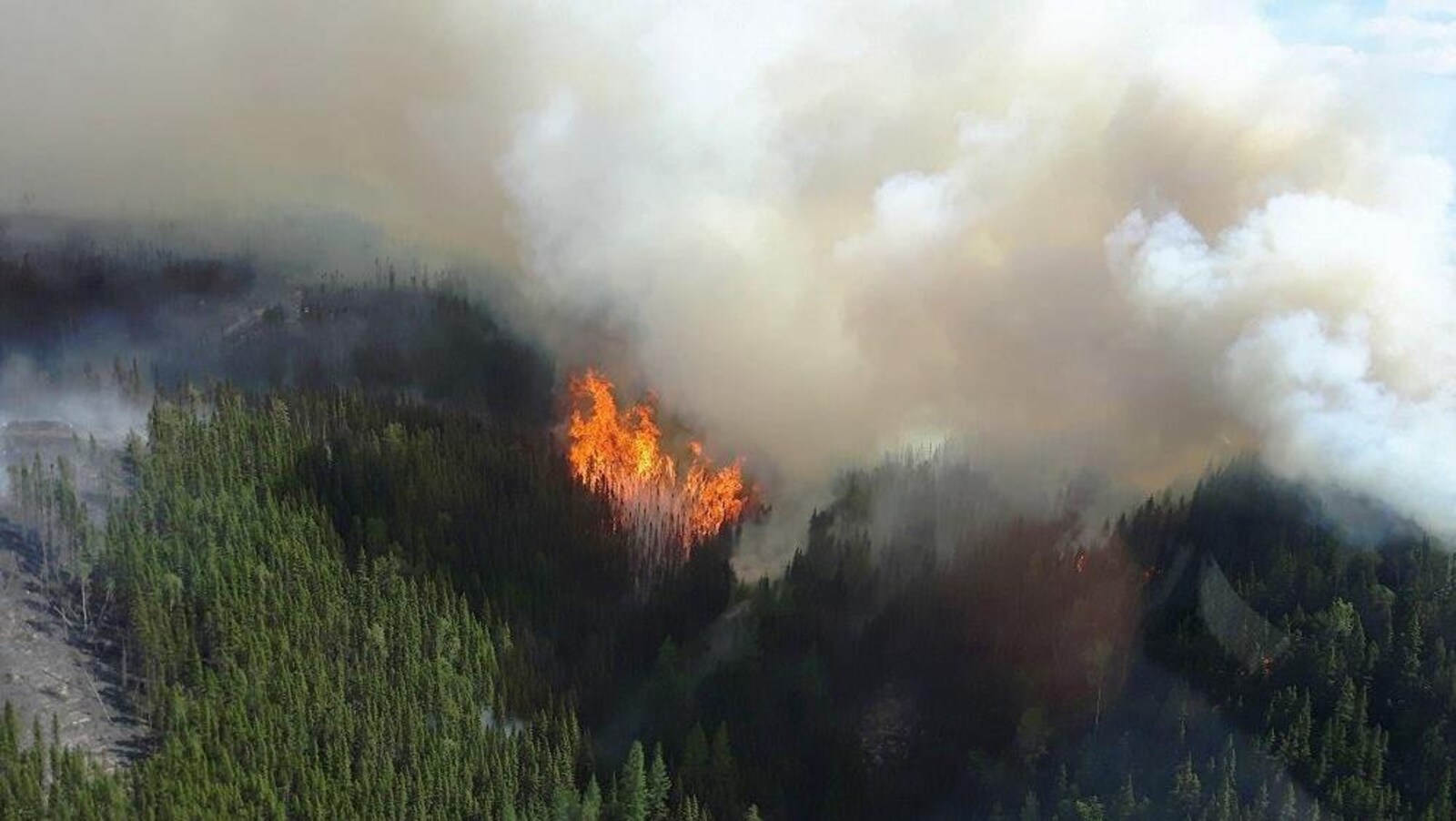 Le feu de forêt de Labrieville continue de prendre de l'ampleur | ICI ...