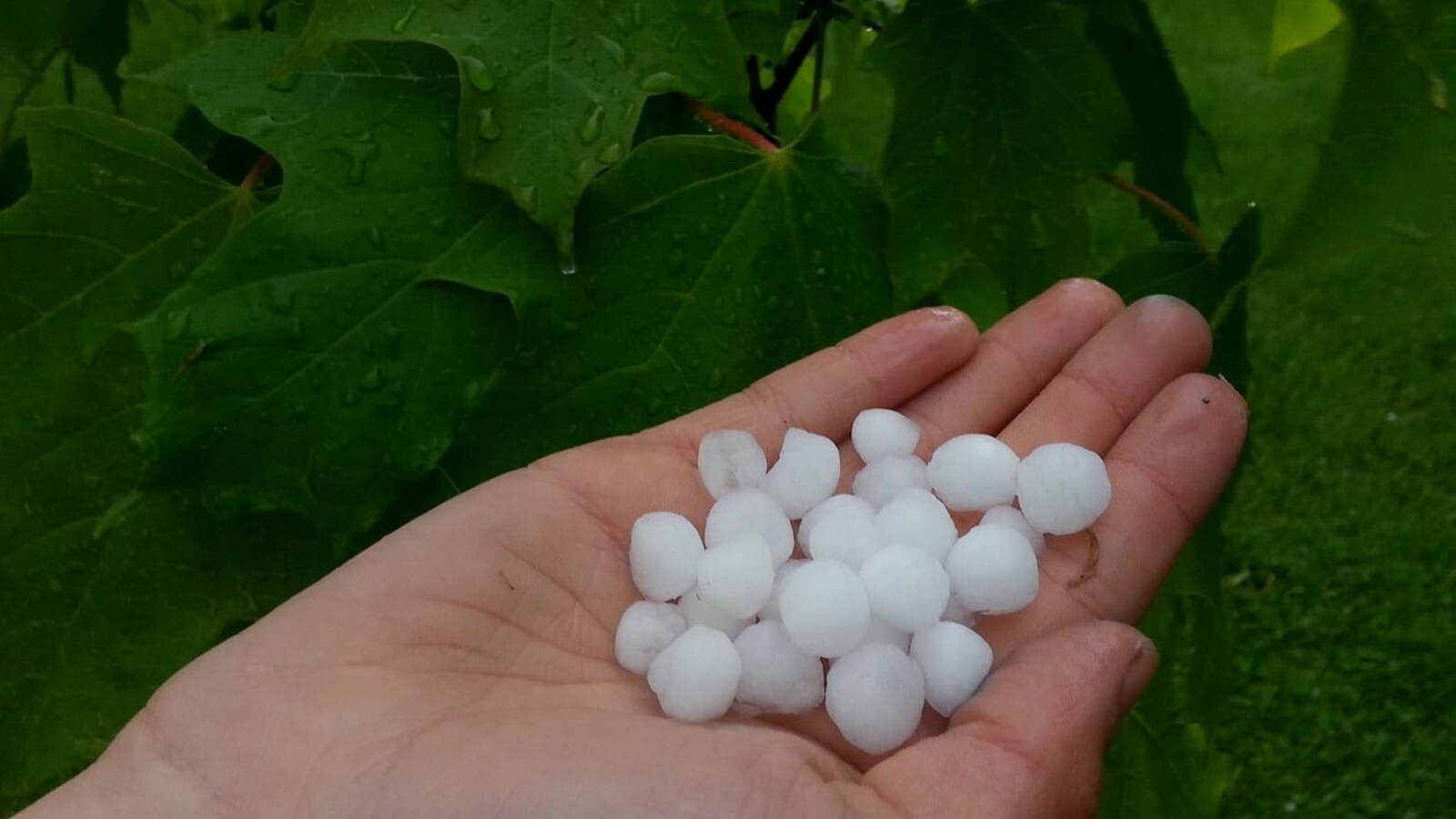 De la grêle moins fréquente, mais des grêlons plus gros, prévoit une ...