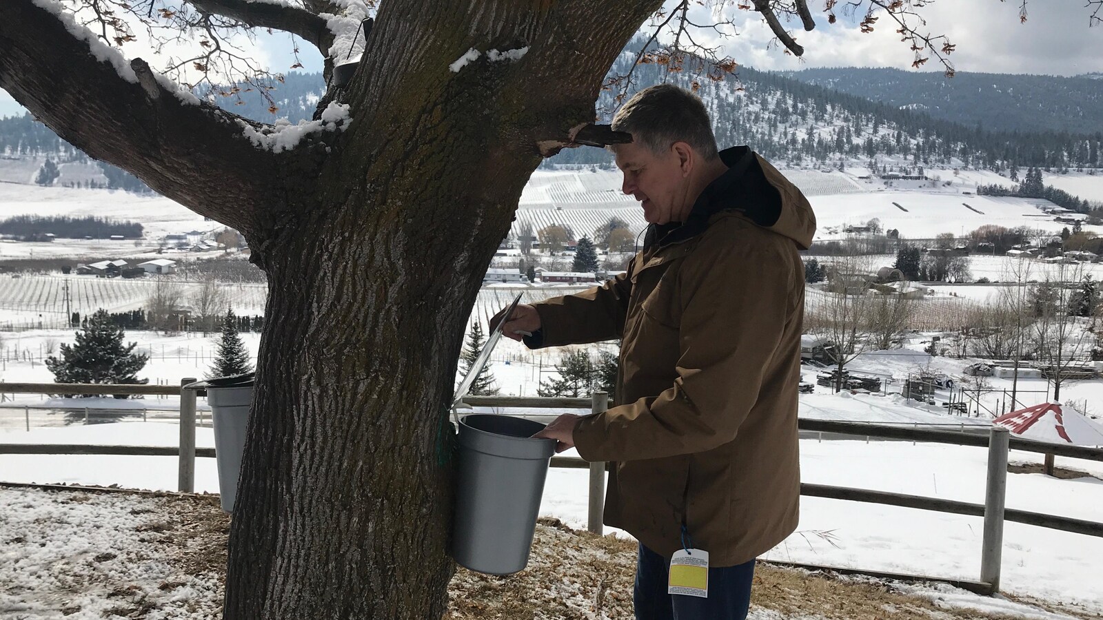 Une communauté de l’Okanagan s’unit pour fabriquer son propre sirop d ...
