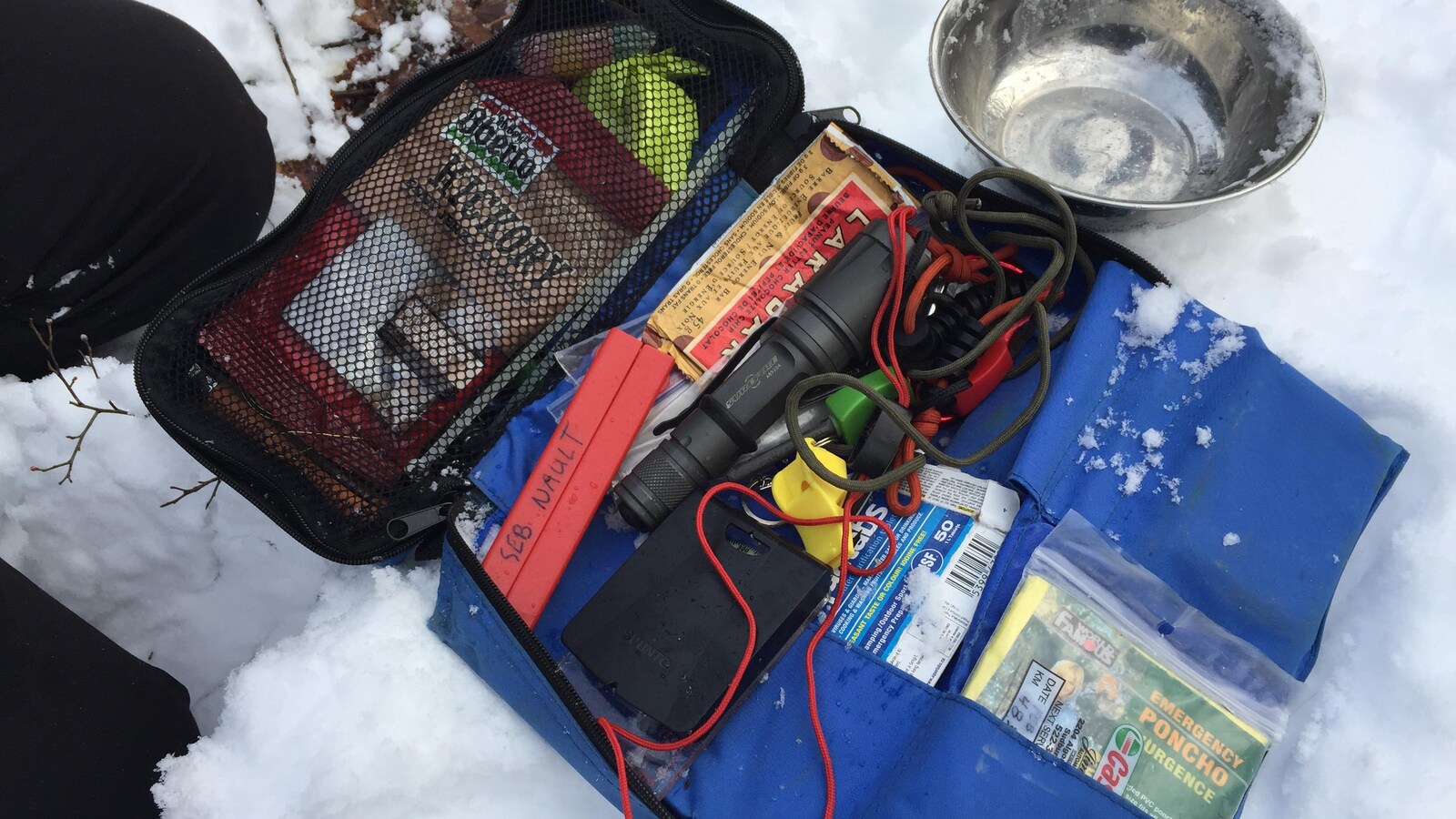 Conseils pour profiter des promenades hivernales en forêt en toute ...