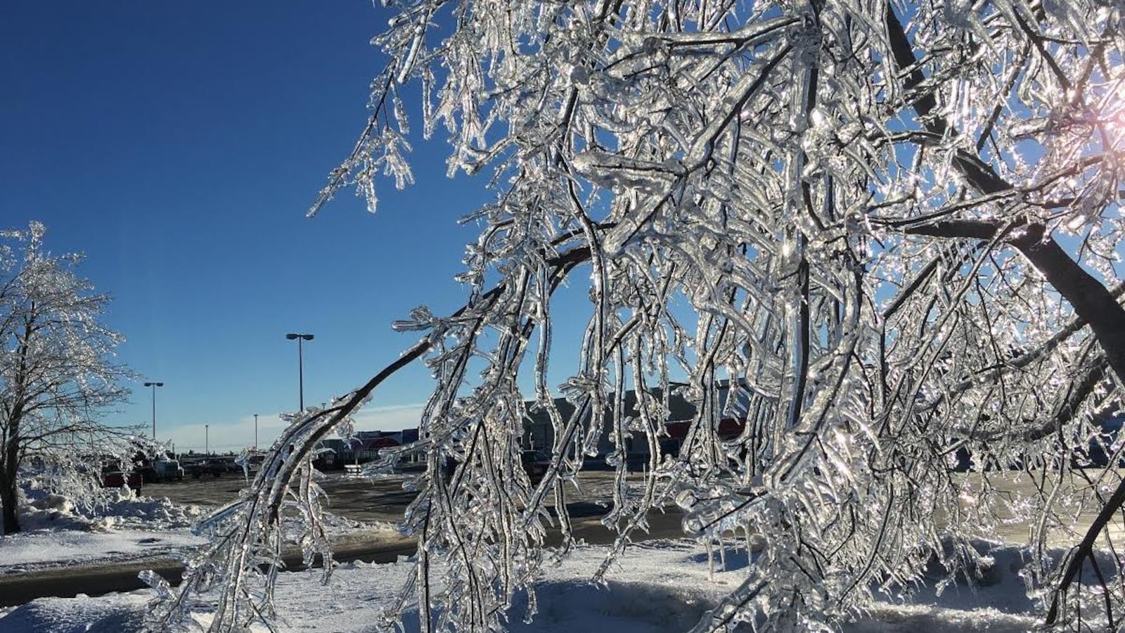 Après la neige, le verglas | ICI Radio-Canada.ca