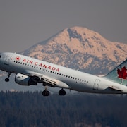 Le brai de bouleau utilisé comme colle pendant au moins 50 000 ans ...