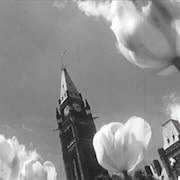 Relations internationales | Radio-Canada | Page 136