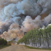 Feux de forêt au Canada | Dossier | Radio-Canada