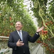 Jean-François Thériault | Profil | Radio-Canada