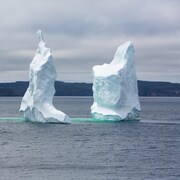 Patrick Butler | Radio-Canada