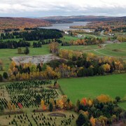 Agriculture | Radio-Canada | Page 259