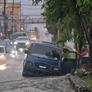 Gavin Newsom, le nouveau troll des démocrates | Radio-Canada