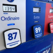 Lynntoria sex tapes sophia seems a breathtaking beauty,