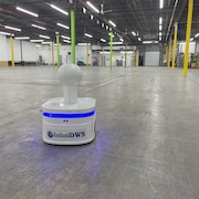 Ces gènes dans le cerveau qui s’expriment après la mort | Radio-Canada