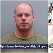 Sauvageau et Botterill réunies au Temple du hockey 23 ans après Salt ...