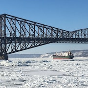 Manifestation devant le bureau de campagne de Lawrence Cannon | Radio ...