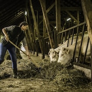 Agriculture | Radio-Canada | Page 262