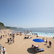 La plage de la promenade Samuel-De Champlain inaugurée | Radio-Canada