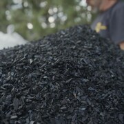 Une usine de biochar à Port-Cartier en 2024 | Info | Radio-Canada