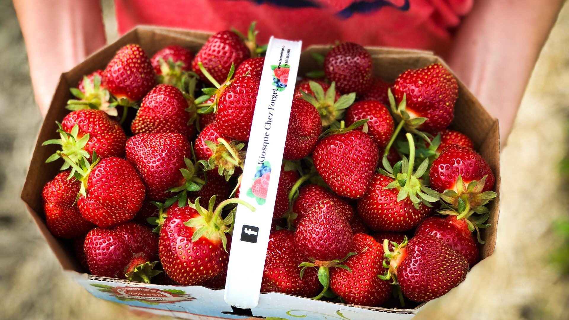 C’est enfin la saison des fraises! | Mordu