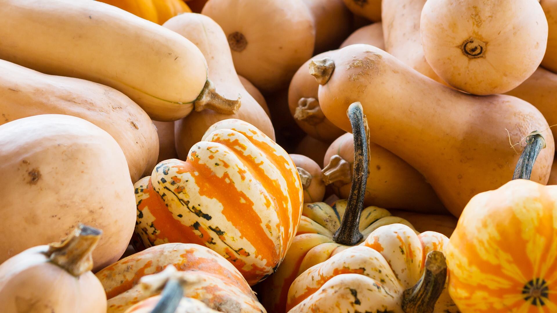 Cuisson de la courge spaghetti | Mordu