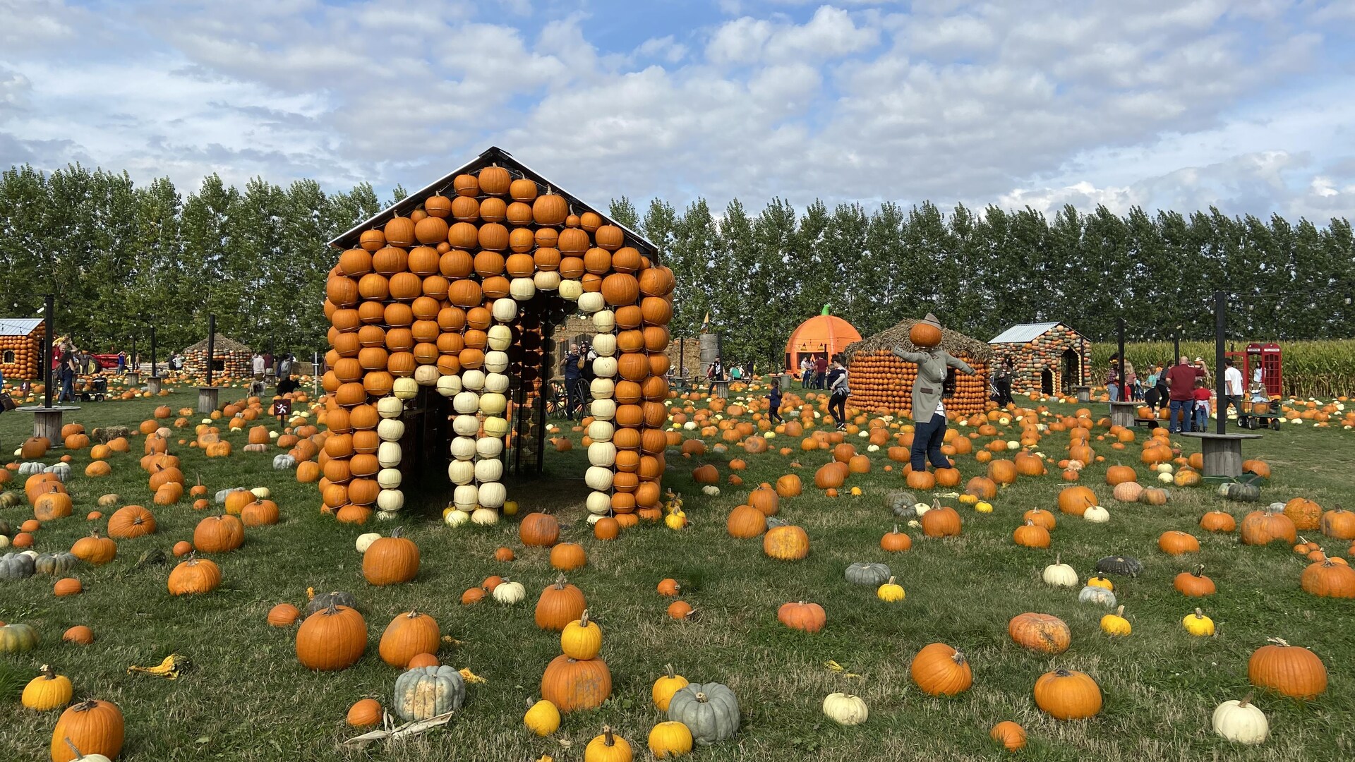 Cinq activités dans quatre régions du Québec pour souligner l’Halloween