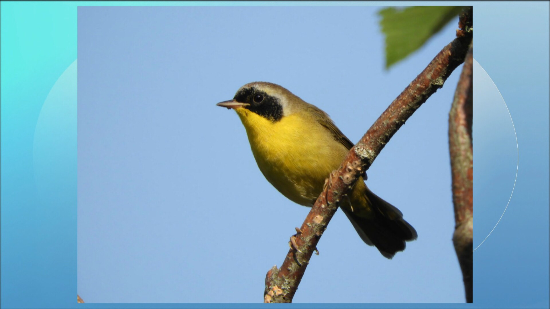 Deux jeunes photographes se distinguent dans une exposition à Memramcook