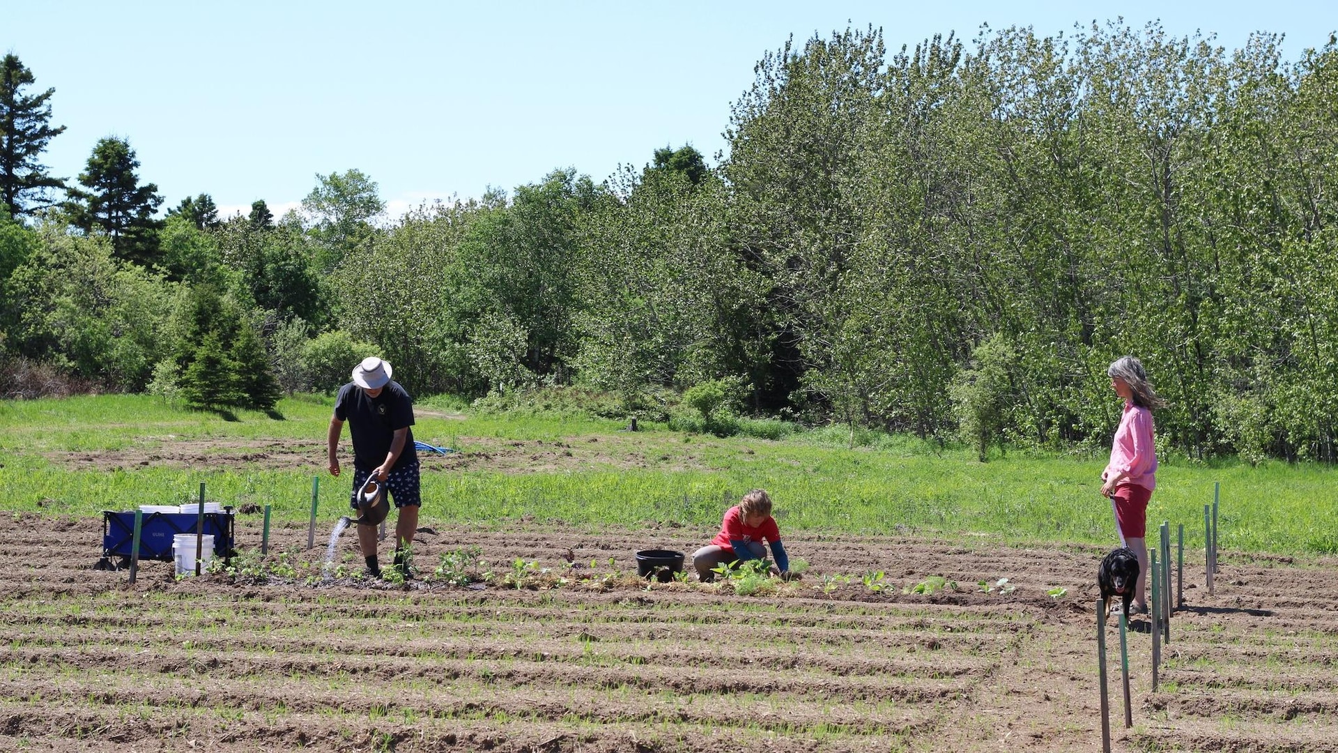 La Ferme citoyenne de La Matanie ouvre officiellement ses portes ...
