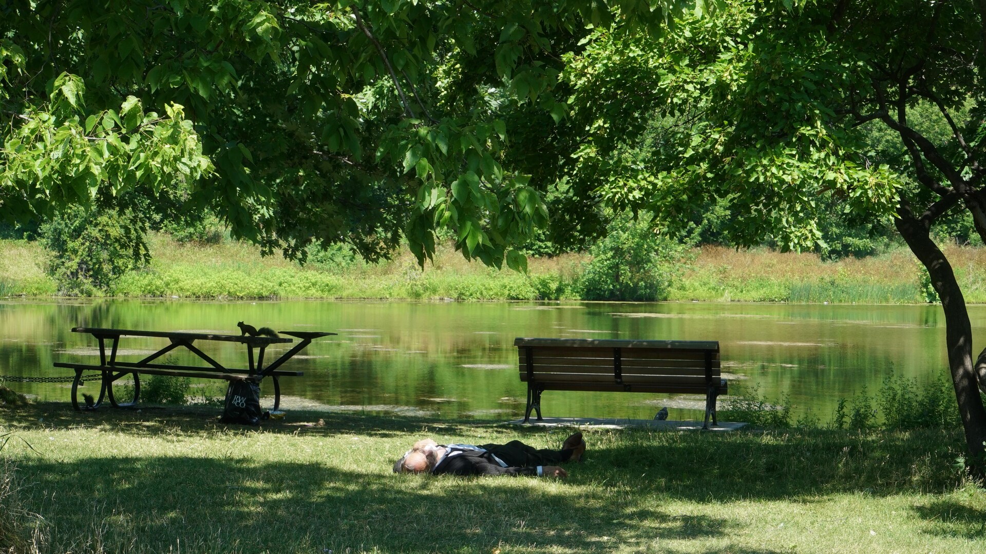 Pourquoi le parc Angrignon a- t-il été laissé à l'abandon? | Info | ICI ...